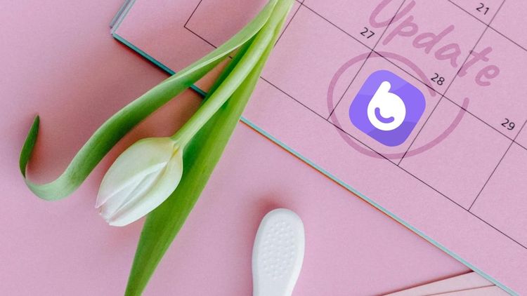 Bibino: Baby Monitor - What's new: Bibino's spring 2025 update